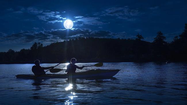Discover the Outdoors by Moonlight During a Full Moon Hike, SUP or ...