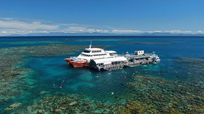 Moore Reef Pontoon Full-Day Tour with Underwater Observatory ...