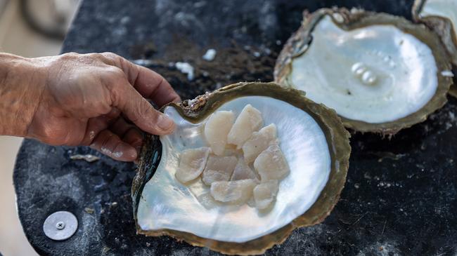 Guided Paspaley Pearl Farm Four-Hour Morning Tour with Return Transfers