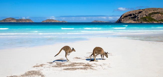 Click Frenzy Travel August 2024 - Scoopon AU