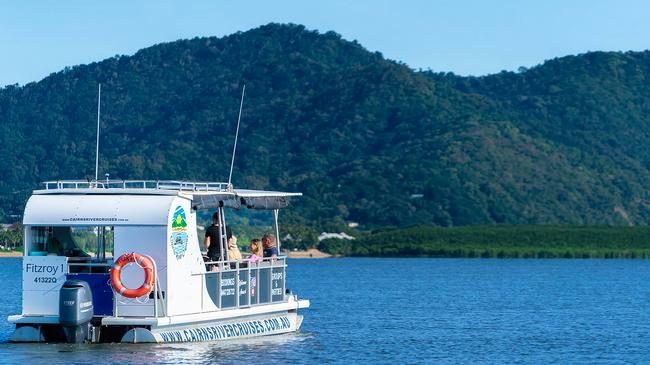 Cairns: 75-Minute Inlet Sightseeing Cruise with Scenic Vistas of ...