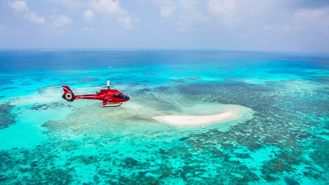 Scenic Reef or Rainforest Helicopter Flight Experiences