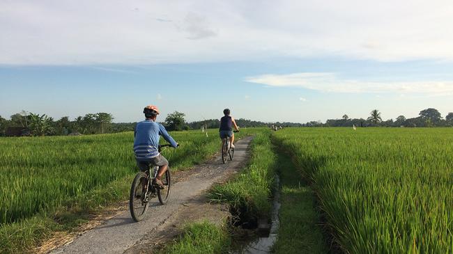 Cycle Through Rice Fields & Rural Villages in the Bali Countryside on ...