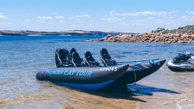 Phillip Island: 30-Minute Guided Thundercat Boat Tour of Cape Woolamai
