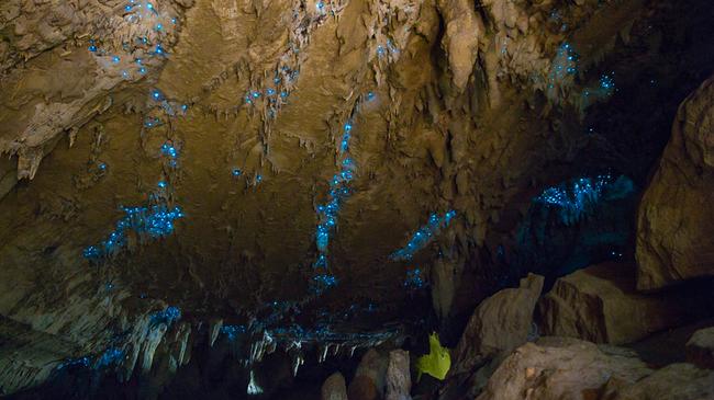 Half-Day Tour of Kawiti Glow Worm Caves, Hundertwasser Cultural Centre ...