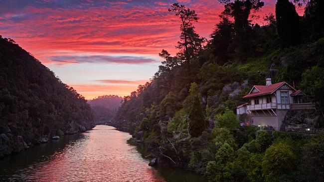 Launceston: 2.5-Hour Cataract Gorge Scenic Cruise with Afternoon Tea ...