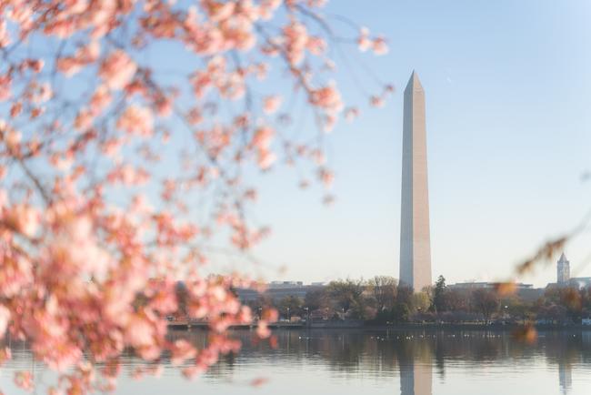 Luxury Escapes Guide to Washington, DC - Luxury Escapes AU