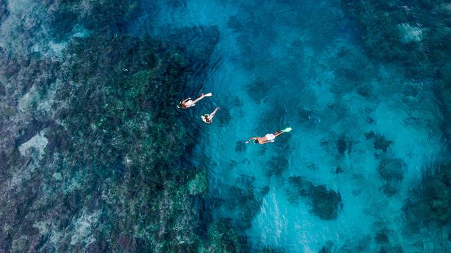Fiji: Morning or Afternoon Ride & Slide Snorkelling Tour with Morning ...