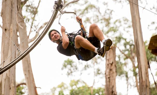 Fly Through the Treetops with the Most Extreme Shockwave Zip Coaster ...