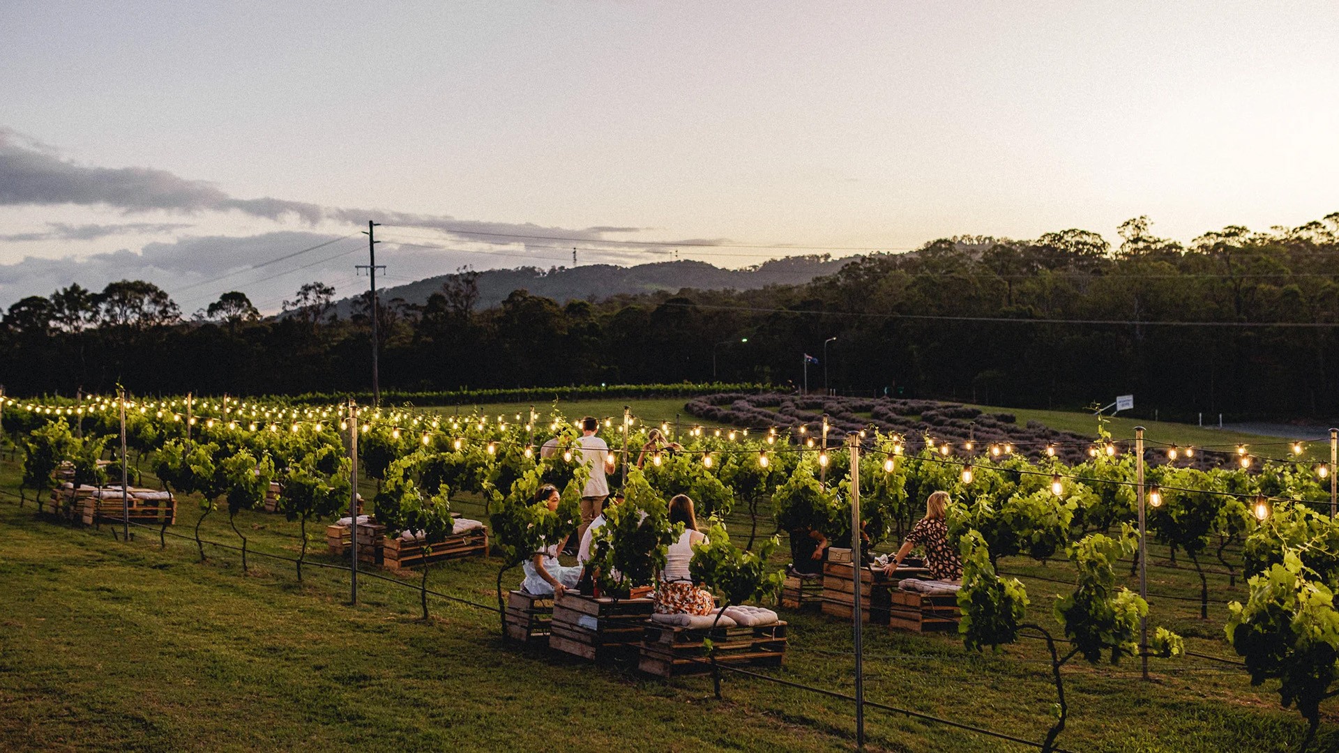 Romantic Vineyard Retreat near Brisbane with Glamping-Style Pavilions ...