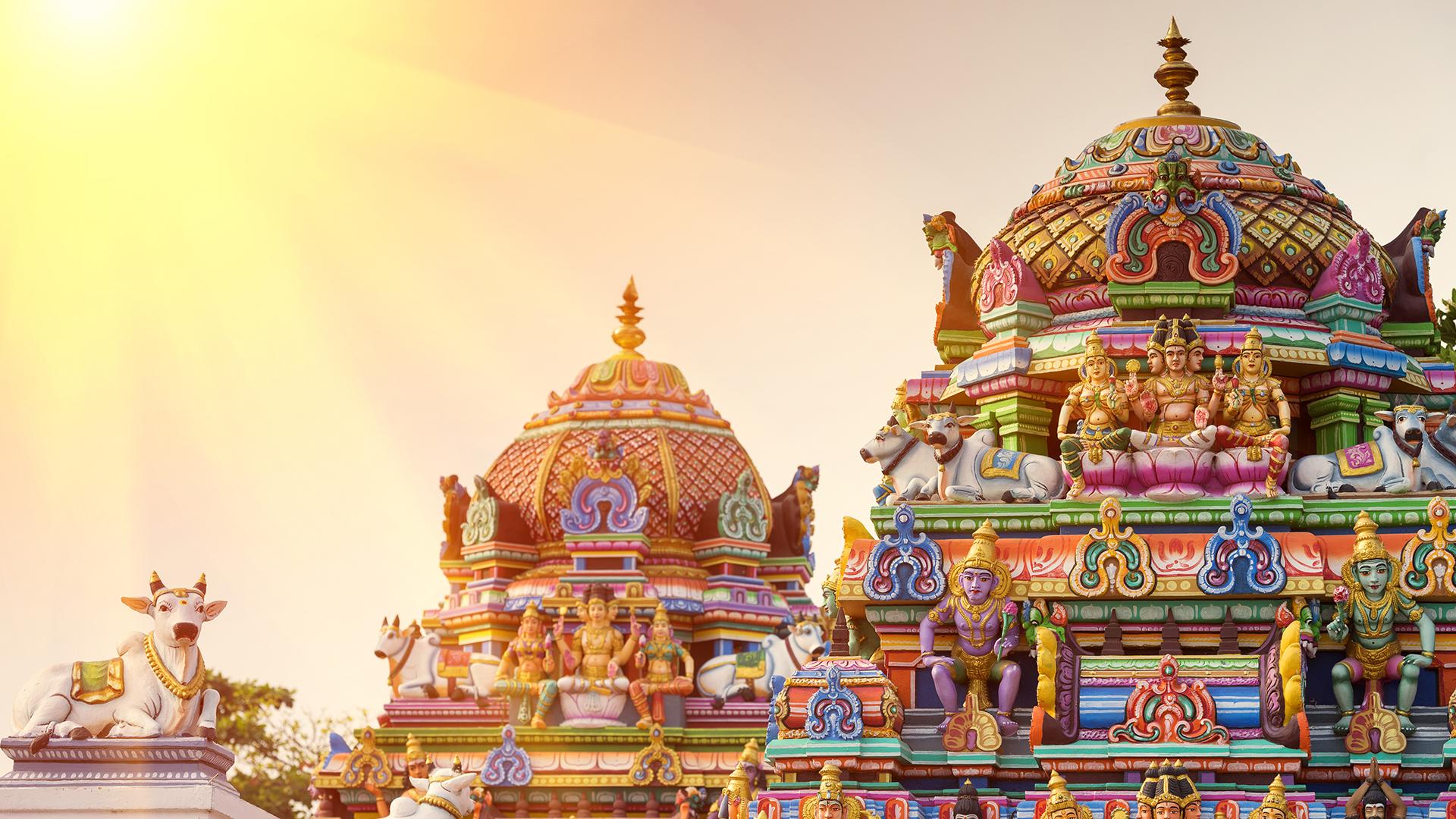 Southern India: A 15-Day Scenic Tour, India