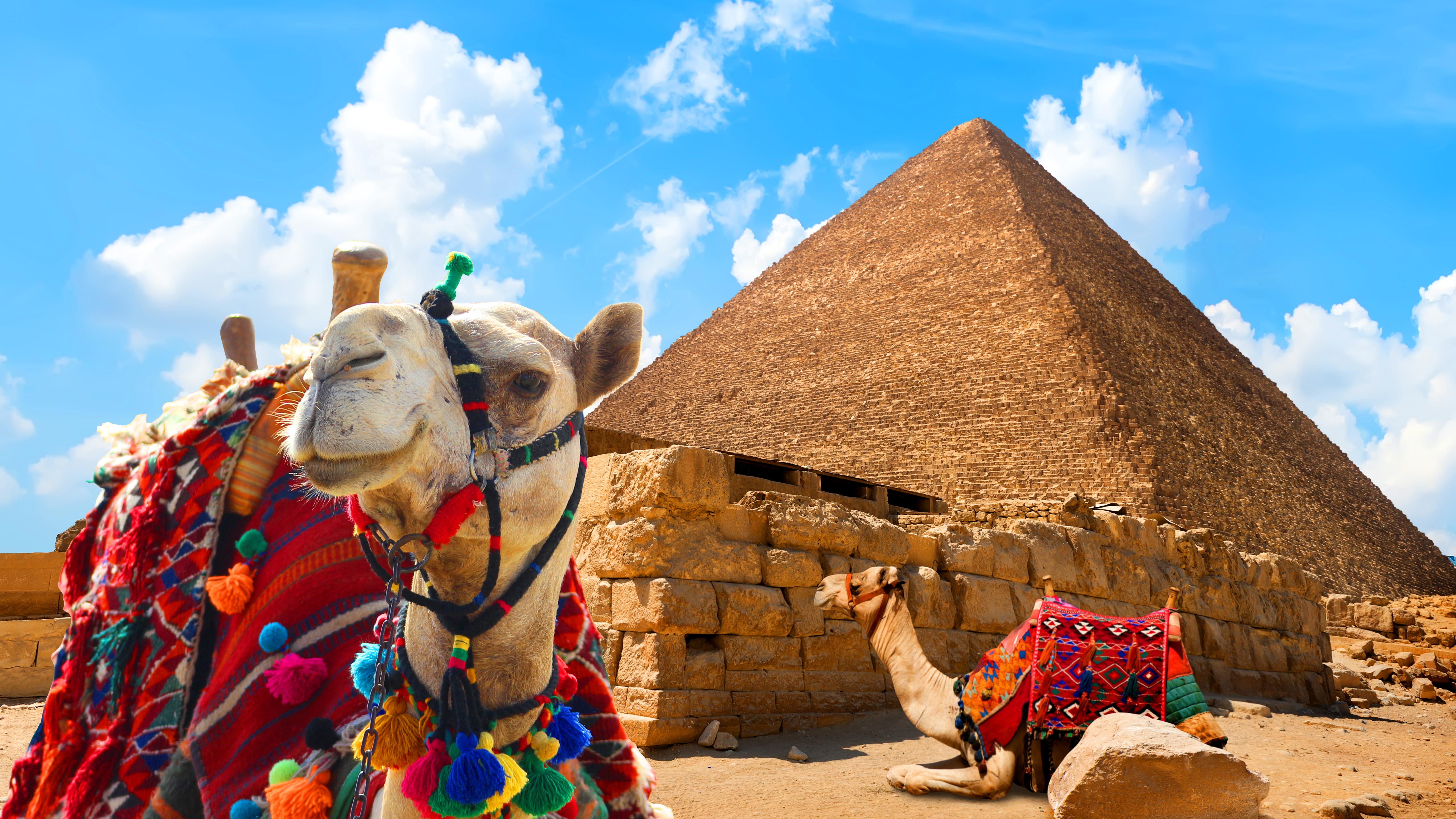 South Africa, Ancient Egypt & Victoria Falls: A 25-Day Tour with ...