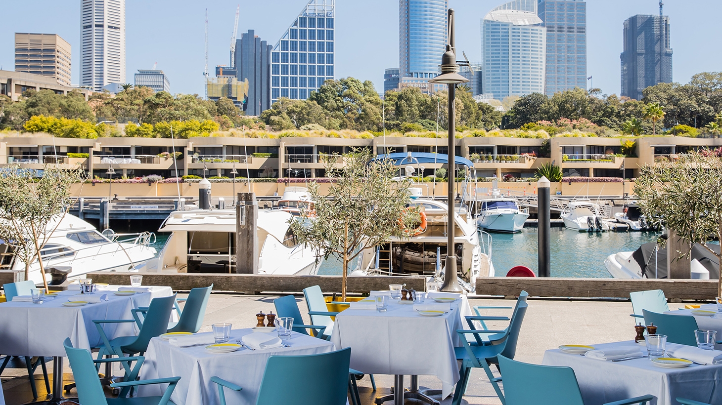 Sydney: Three-Course Italian Waterside Dining with Signature Martini at ...
