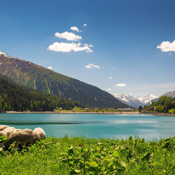 Europe's Most Scenic Train Journeys | Dream with Luxury Escapes