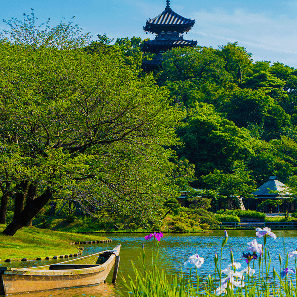 5 Reasons to See Japan on a Tour | Dream with Luxury Escapes