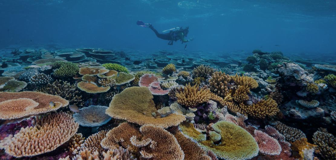 Tropical North Queensland - Luxury Escapes AU