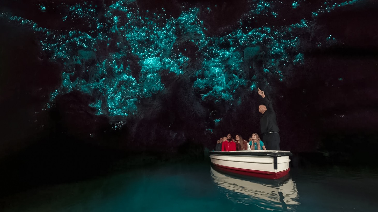 Auckland: Seven-Hour Waitomo Glow Worm Caves Tour with Return Transfers