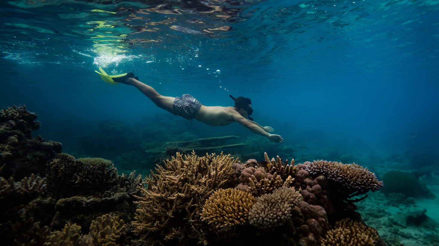 Fiji: Morning or Afternoon Ride & Slide Snorkelling Tour with Morning ...
