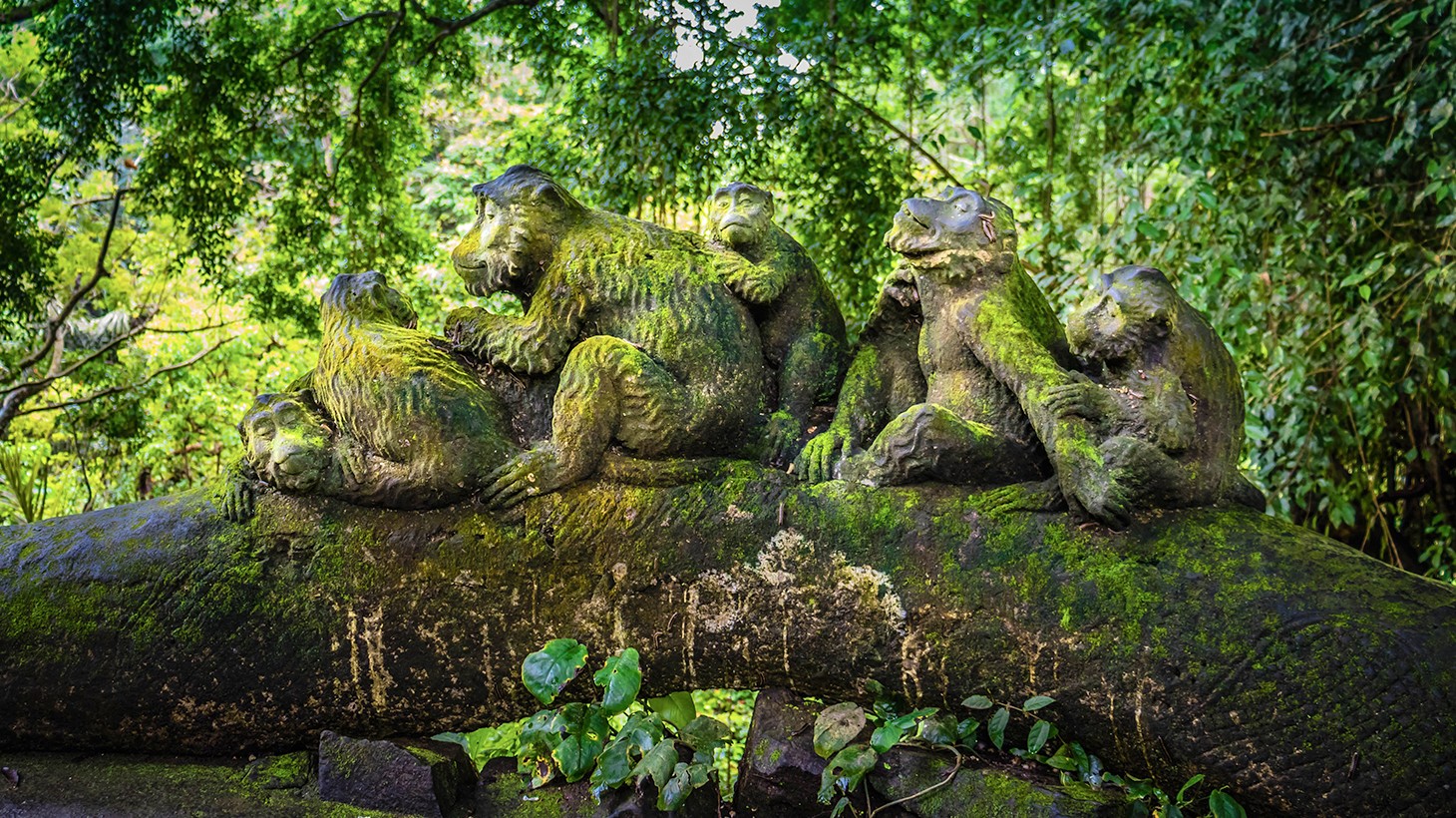 See the Enchanting Sights of Ubud on a Private Guided Highlights Tour ...