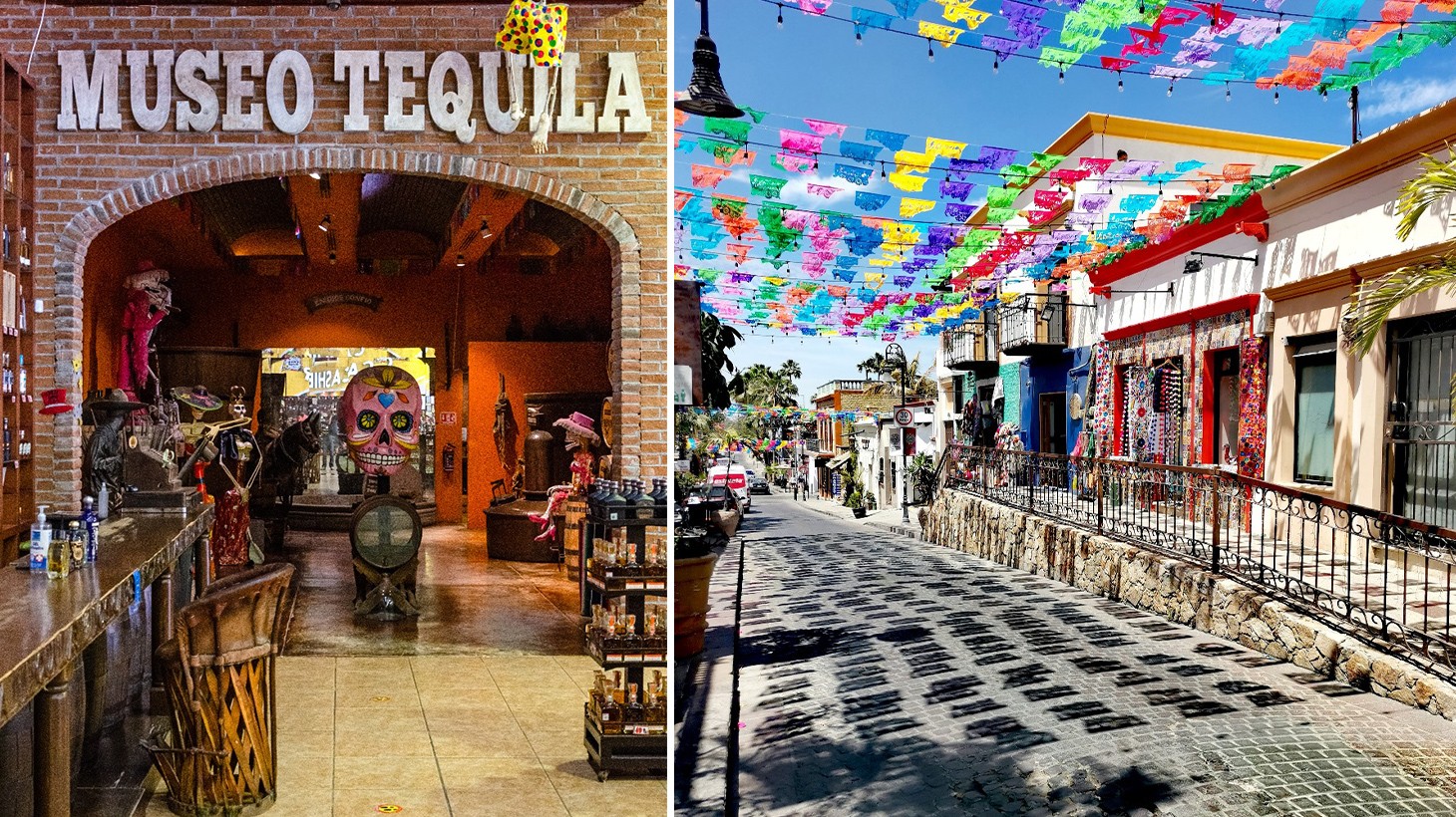 Los Cabos: Guided Two Capes City Tour with Mexican Lunch & Boat Cruise