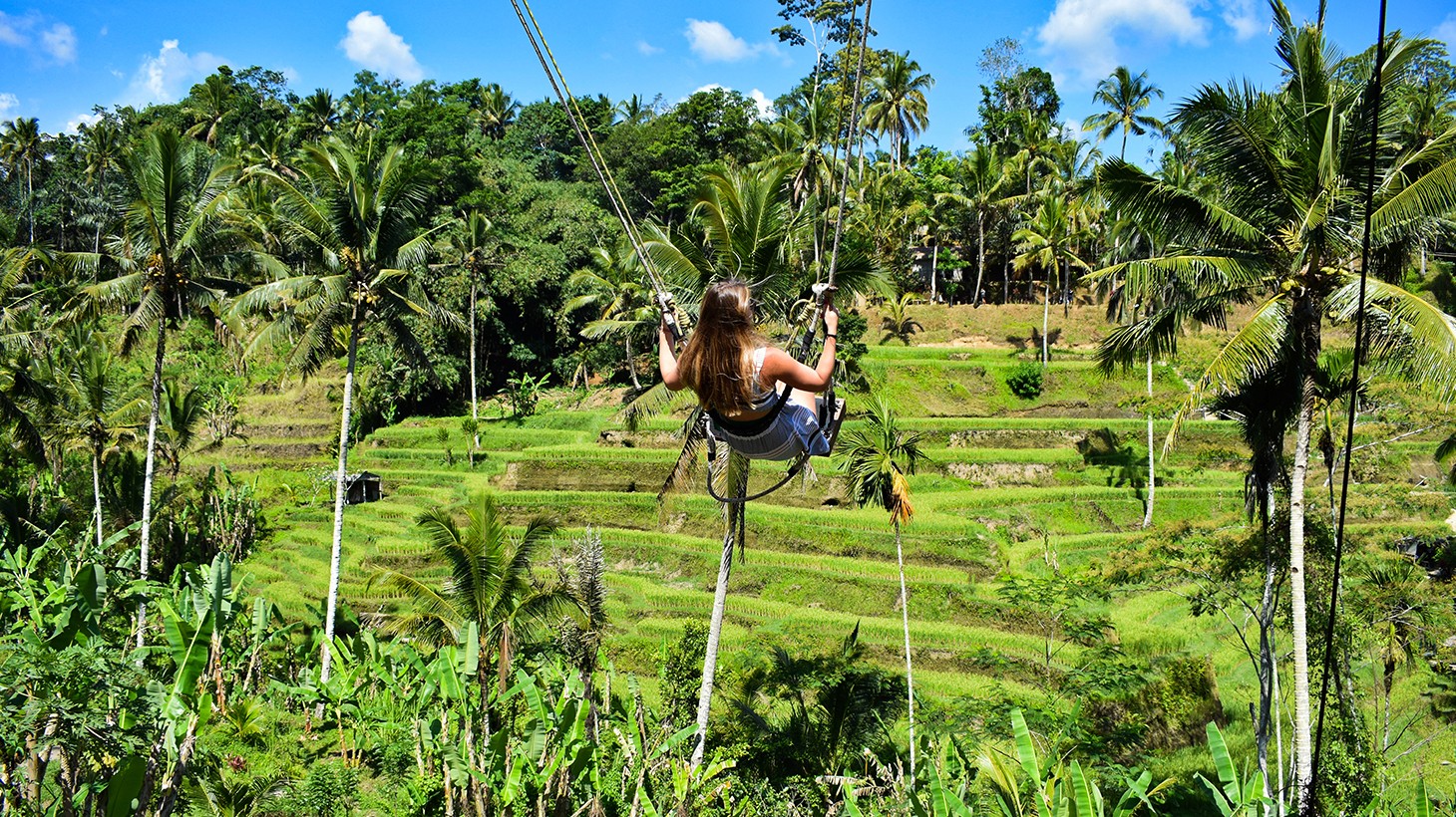 Full-Day Tegalalang Adventure with Coffee Tour, Ziplining, Jungle Swing ...