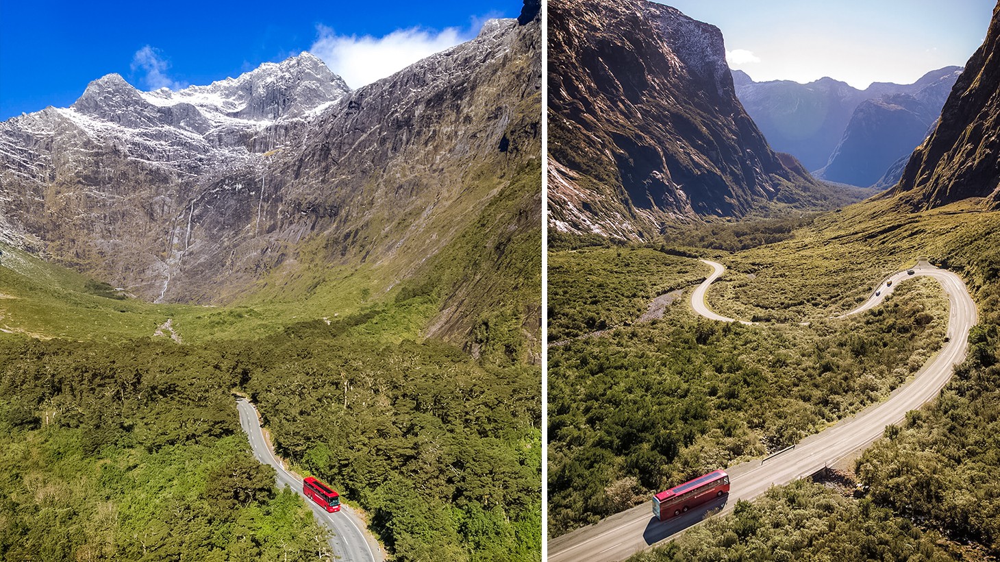 Queenstown: Milford Sound Nature Cruise with Return Coach Transport ...