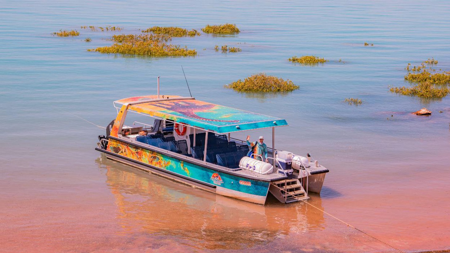 Broome: Take a Journey Through Time with a Guided Scenic Dinosaur ...