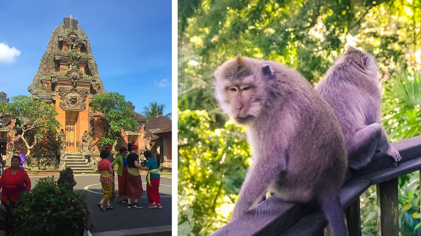 Bali: See the Enchanting Sights of Ubud on a Private Guided Highlights ...